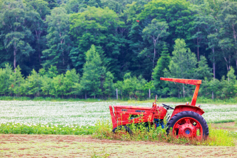 農業で起業する方法｜素人からでもチャレンジできる？ - VSIDE（ビサイド）佐世保市産業支援センター／起業・スタートアップ、DX、経営相談／
