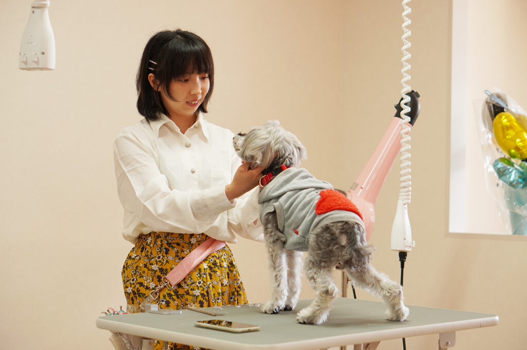 【開業インタビュー】ワンちゃんと飼い主に寄り添うプライベートサロンを開設 │ ドッグサロンIrisの山中さん - VSIDE（ビサイド）佐世保市産業支援センター／起業・スタートアップ、DX、経営相談／